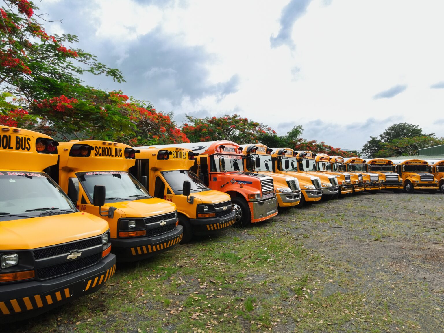 Glenda Bus Line